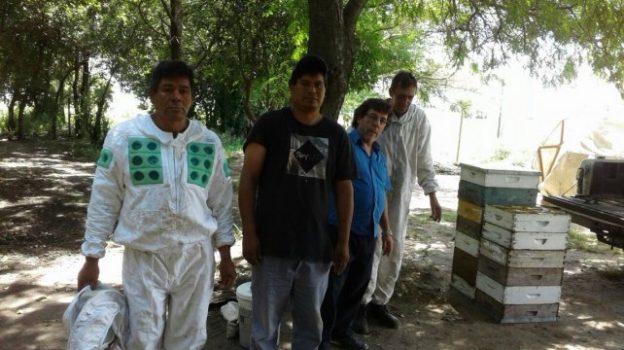 La Comunidad Mocoví de Recreo realizó la primera cosecha de miel | Al ...
